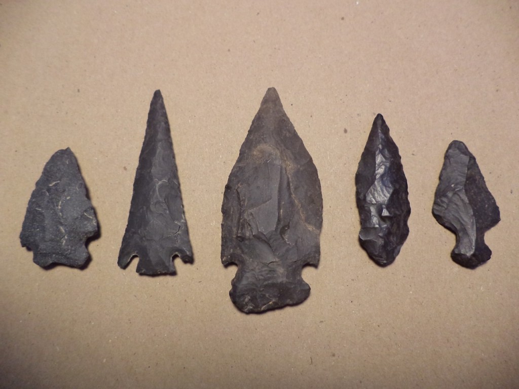 Understanding the Secwepemc world – a book review – Shuswap Passion