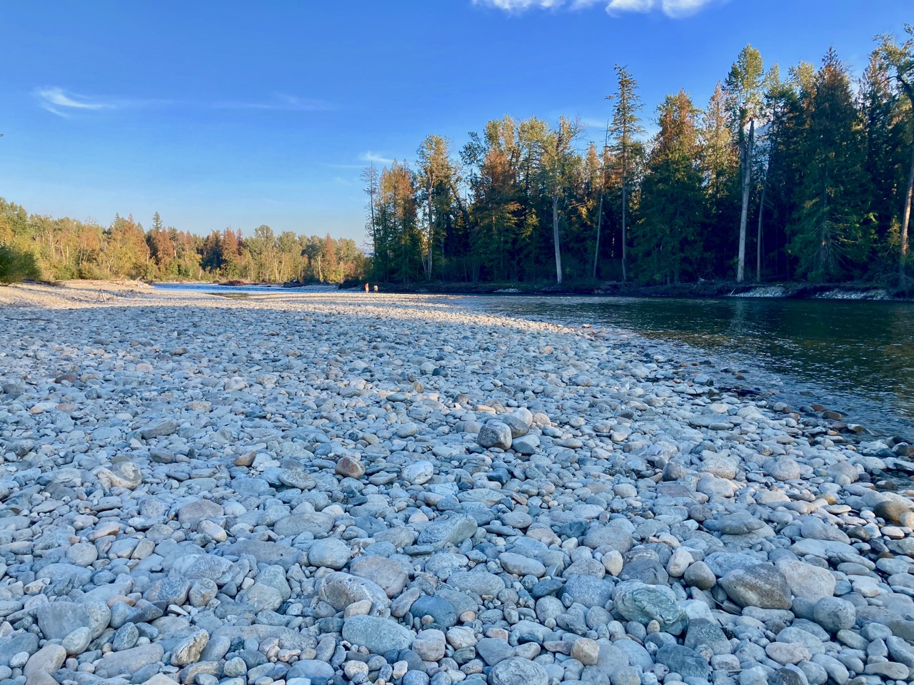 Uncertainty surrounds this year’s Adams River Salmon Run - Shuswap Passion