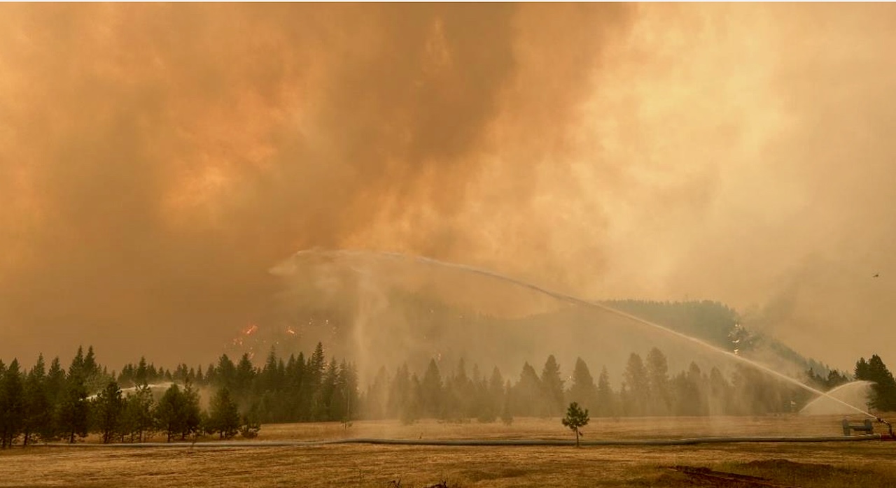 How the Adams Lake sawmill survived the 2023 firestorm - Shuswap Passion